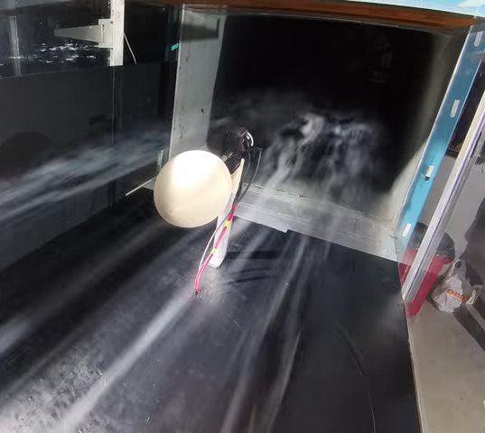 Veritasium tackles Tom Brady's spiral with help from Phil Ansell and ...