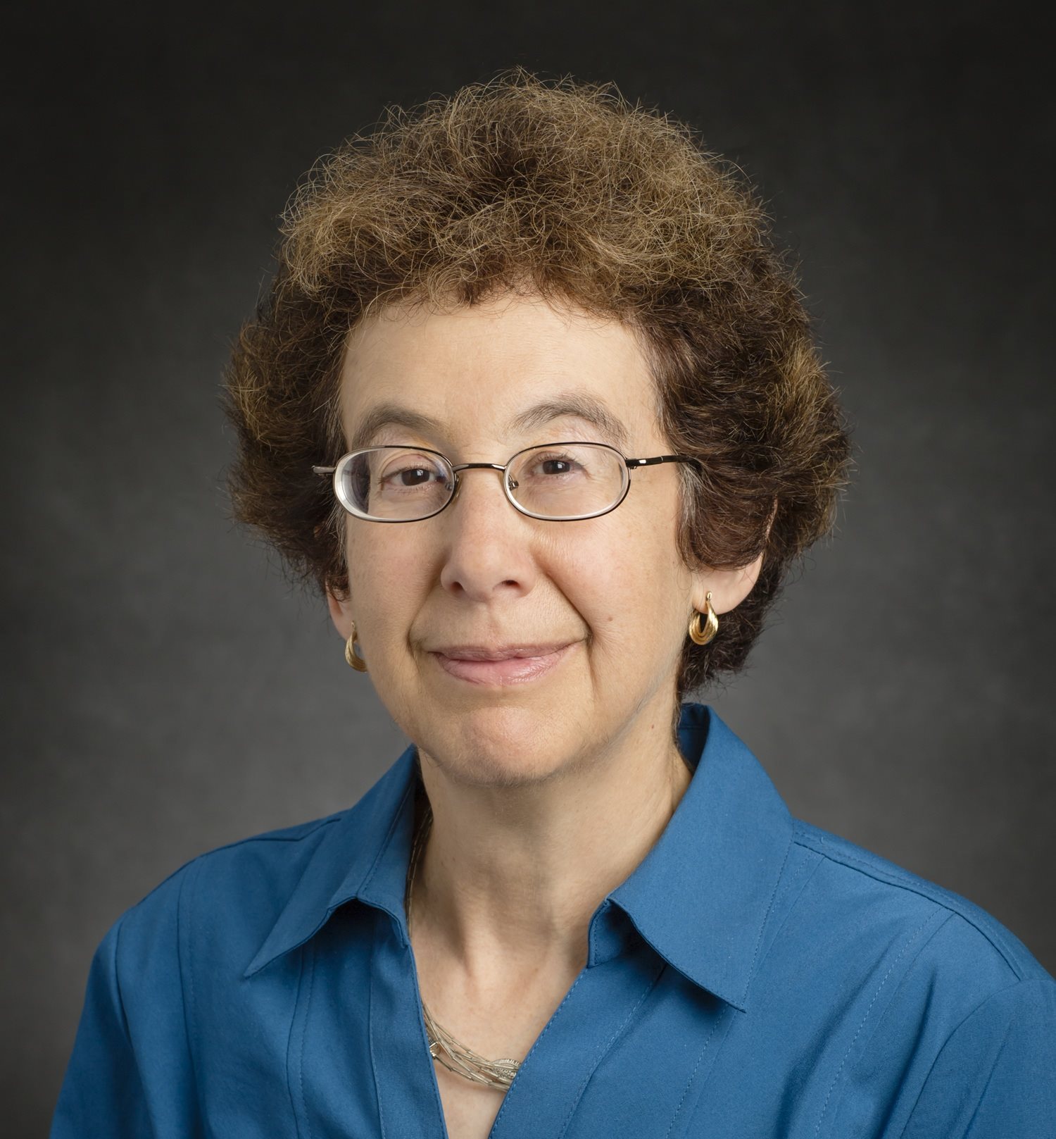 Levin receives 2025 AIAA Thermophysics award | Aerospace Engineering ...