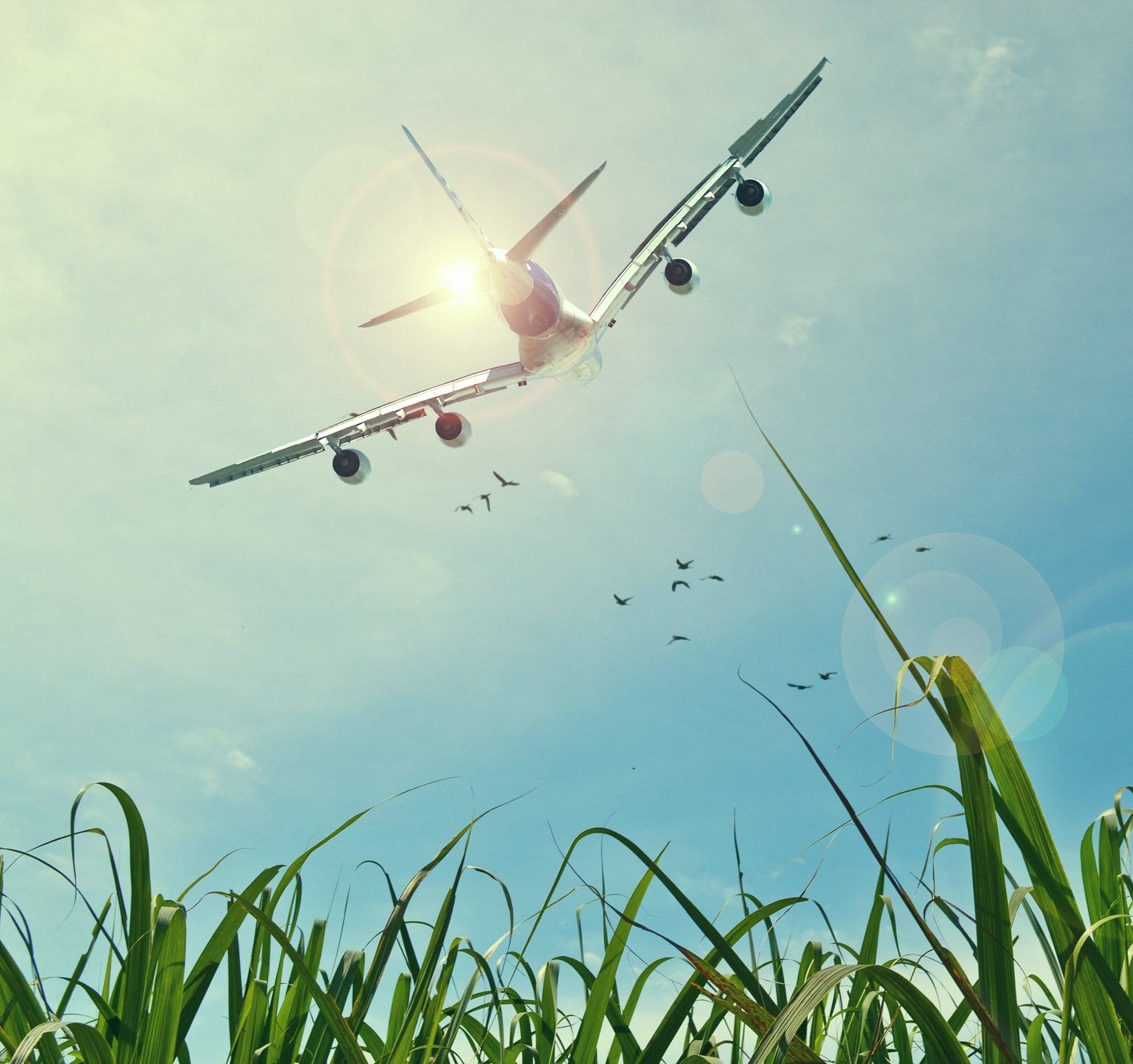 Sustainable energy for aviation: What are our options? | Aerospace ...